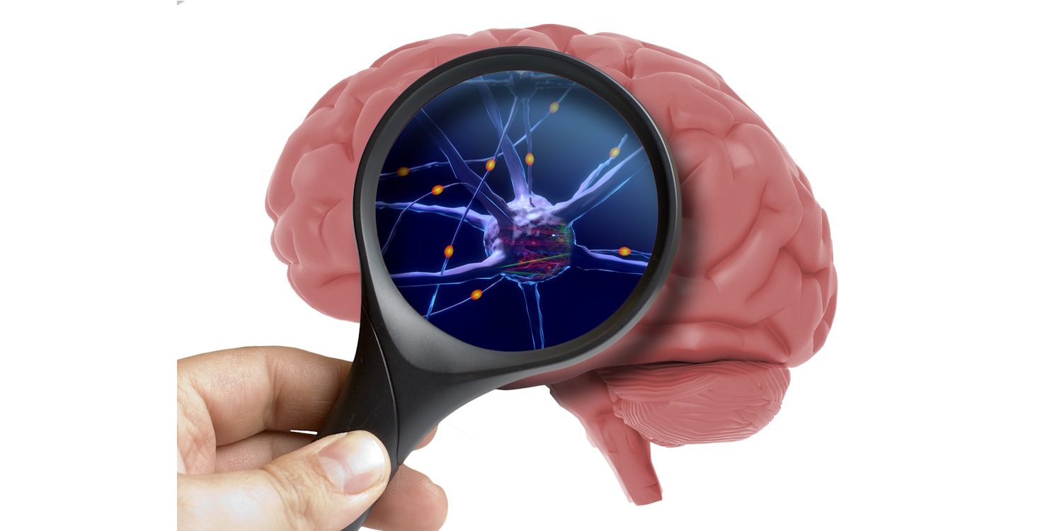 Neurotransmitter analysis - Antec Scientific